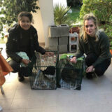 Home - Cat & Rabbit Rescue Center