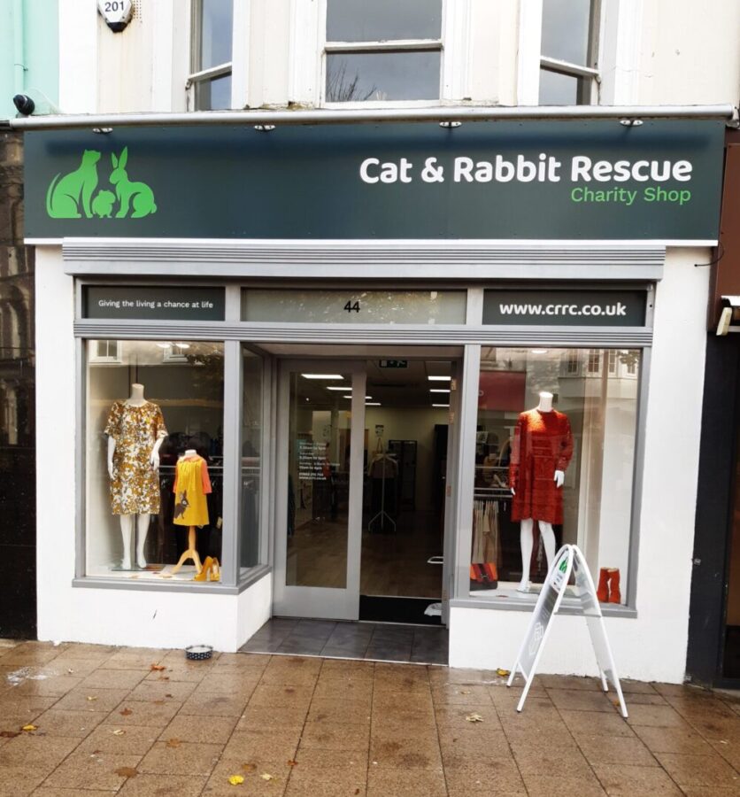 Shops & Gifting - Cat & Rabbit Rescue Center