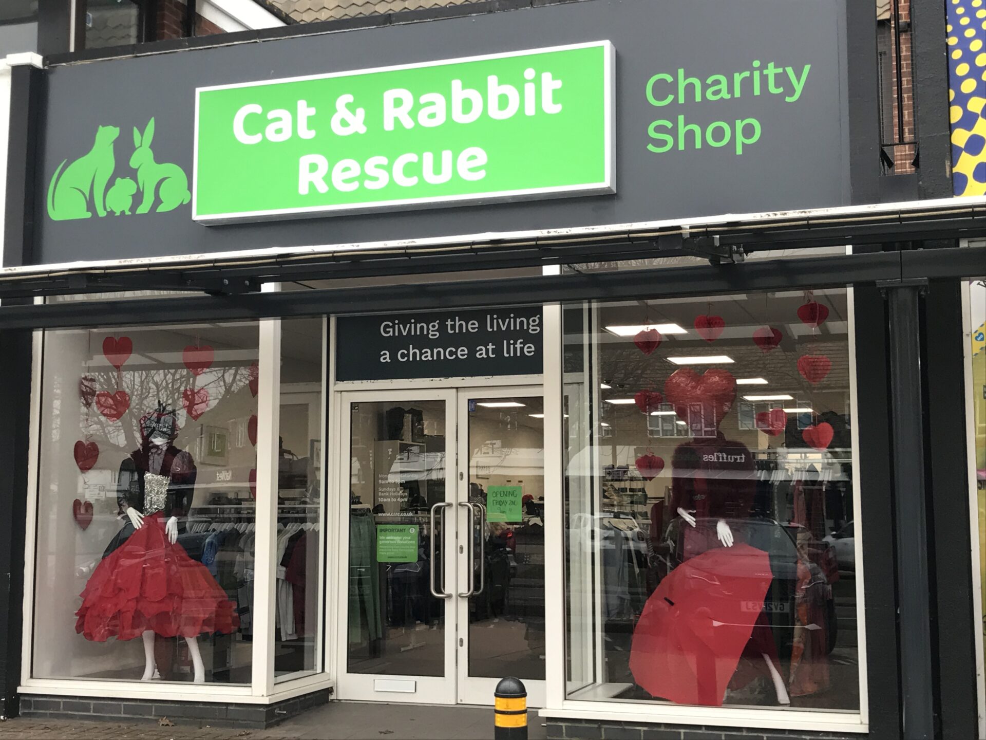 Charity Shops - Cat & Rabbit Rescue Center